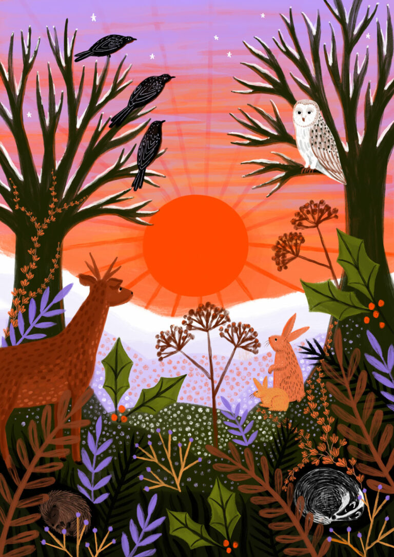 The Portfolio of Lee Foster-Wilson